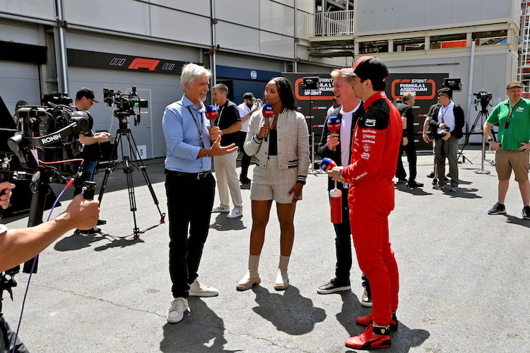 Damon Hill zu Max Verstappen: «Schlechter Verlierer» / Formel 1 ... Damon Hill zu Max Verstappen: «Schlechter Verlierer» / Formel 1 ...